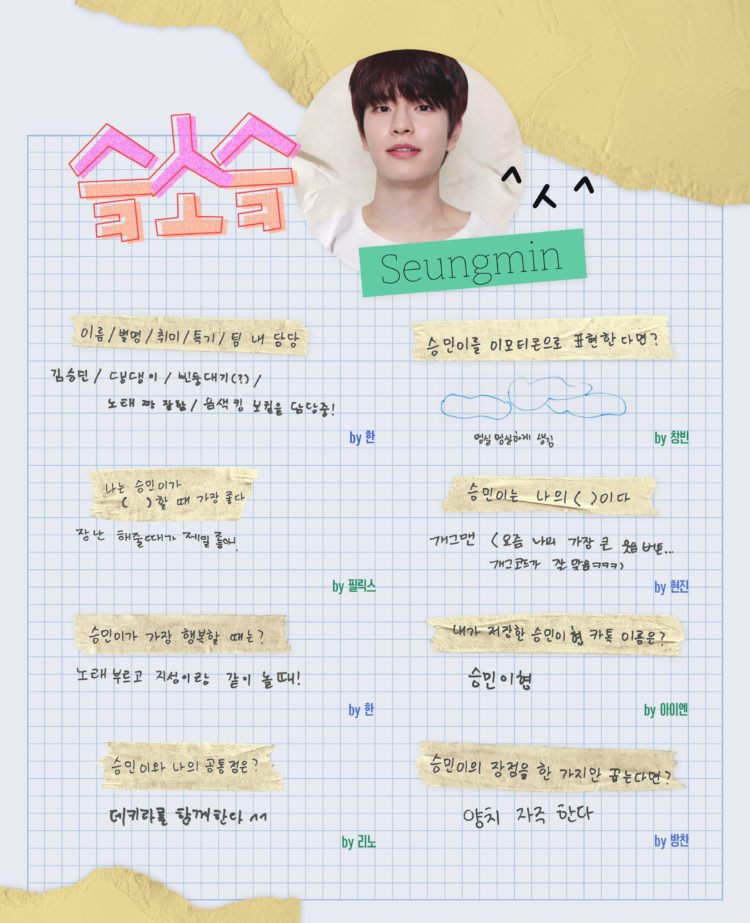 Stray Kids Profile “SKZ by SKZ” – “STAYweeK” STAY 3rd Anniversary ...