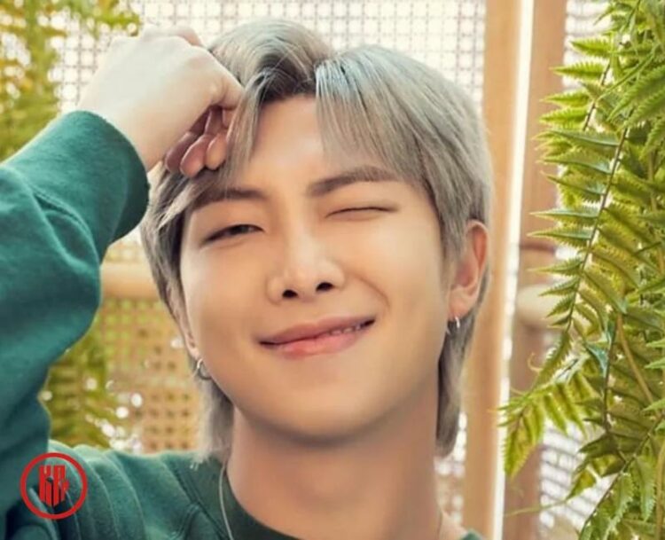 RM3: Exciting Update and the Artists who Will Collab in His New Solo ...