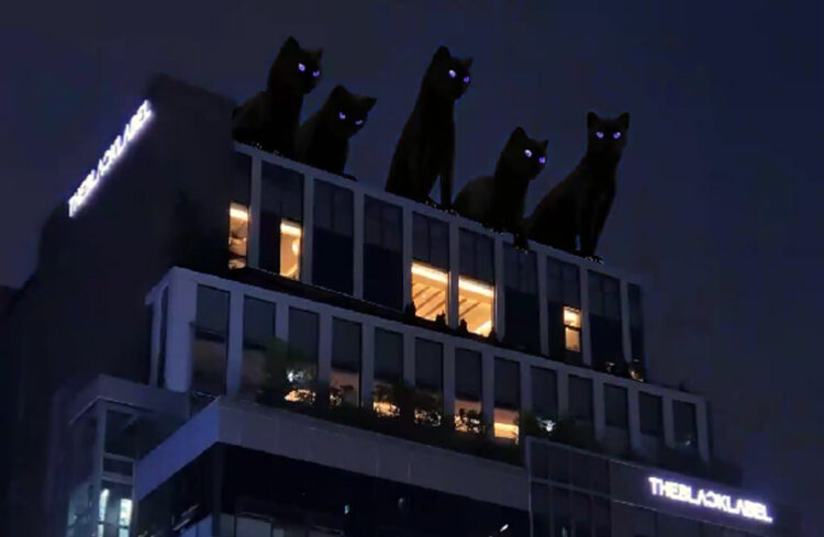 All the Facts and Rumors You Must Know About MEOVV by THE BLACK LABEL ...