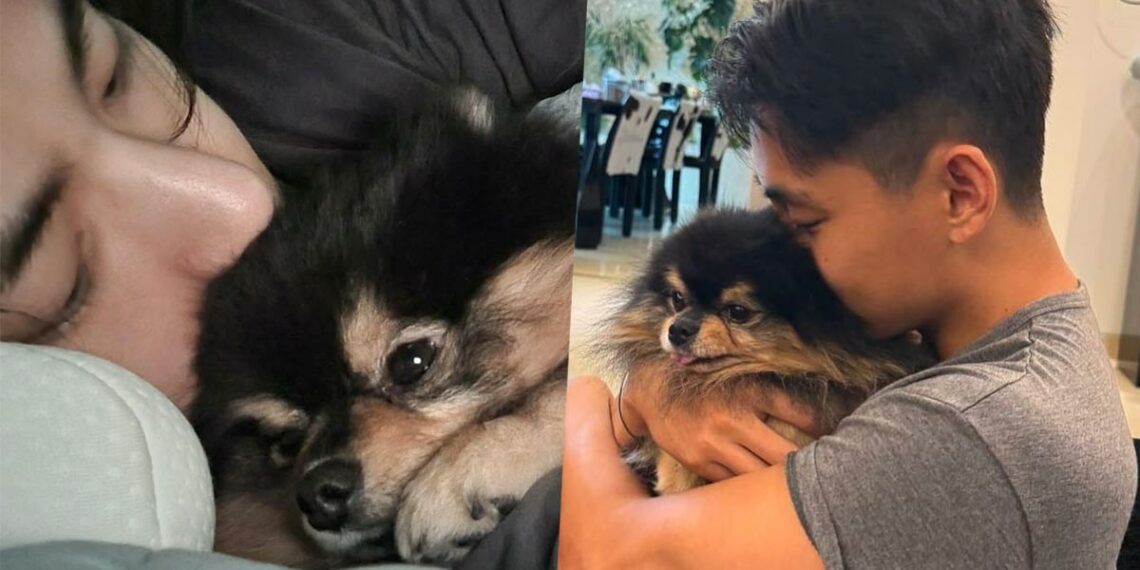 Yeontan Passed Away: Remembering the Adorable Puppy of BTS V - KPOPPOST