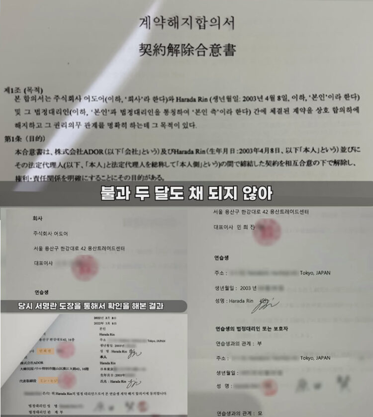 Harin and the NewJeans Story: the Hidden Side of K-pop Trainee Policies ...